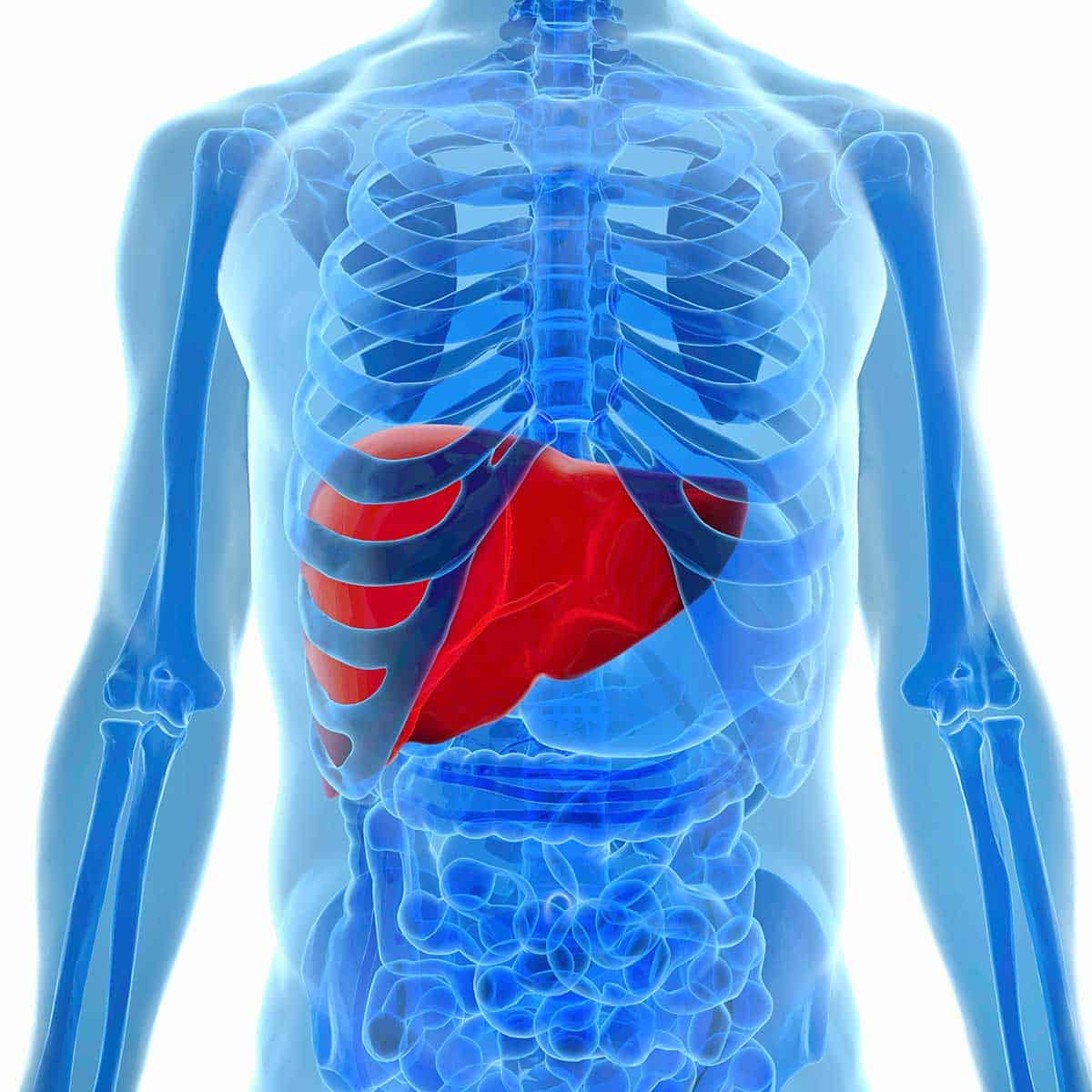 You Need These 14 Foods And Drinks To Keep Your Liver And Your Bones Strong