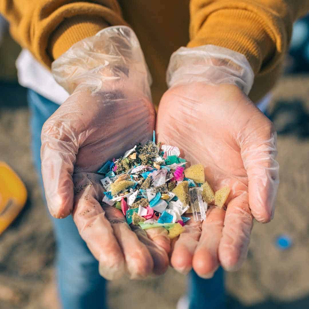 Alert: Studies Confirm Microplastics Are Accumulating In Our Bones