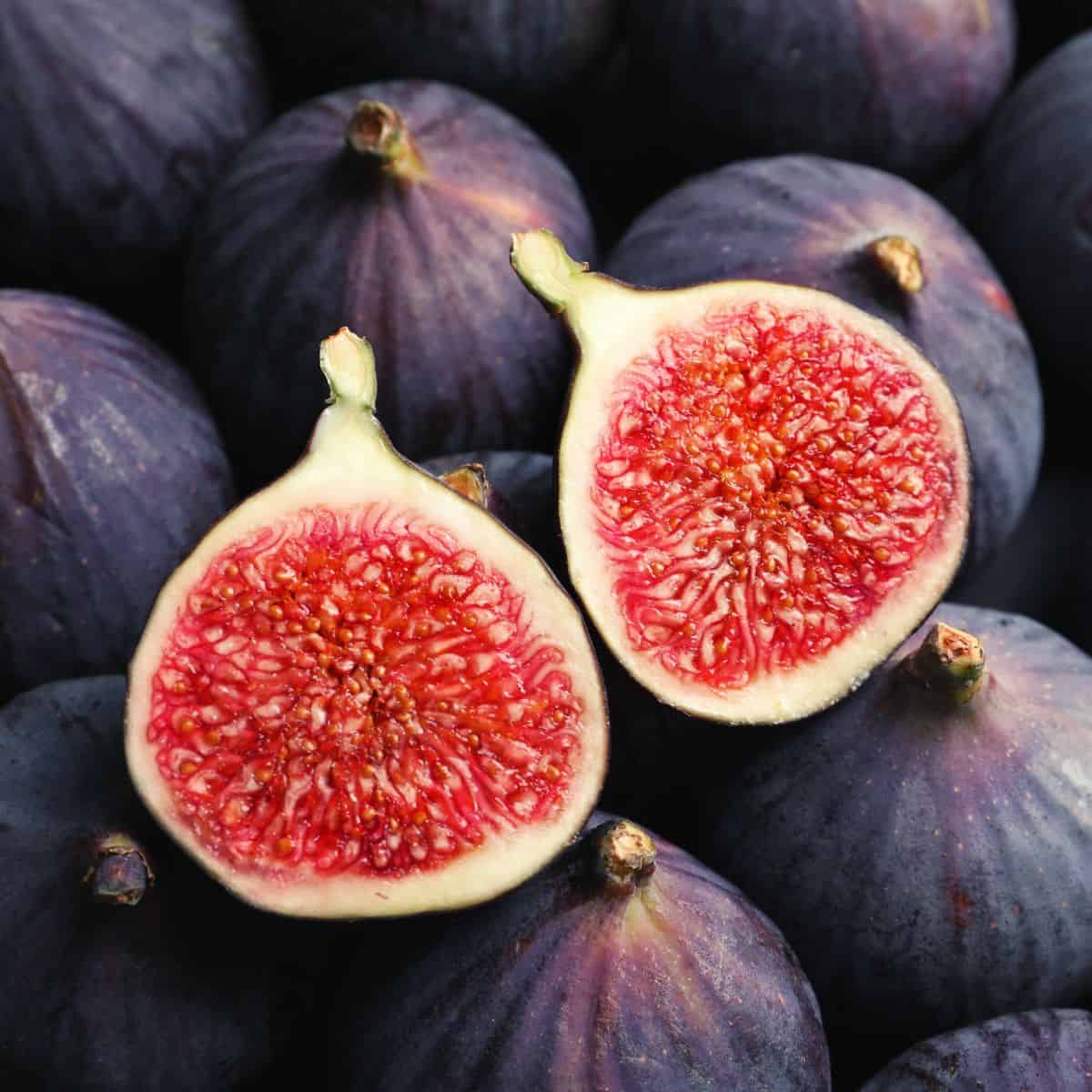 Figs: A Surprising Bone Healthy Superfood (Plus An Easy Recipe)