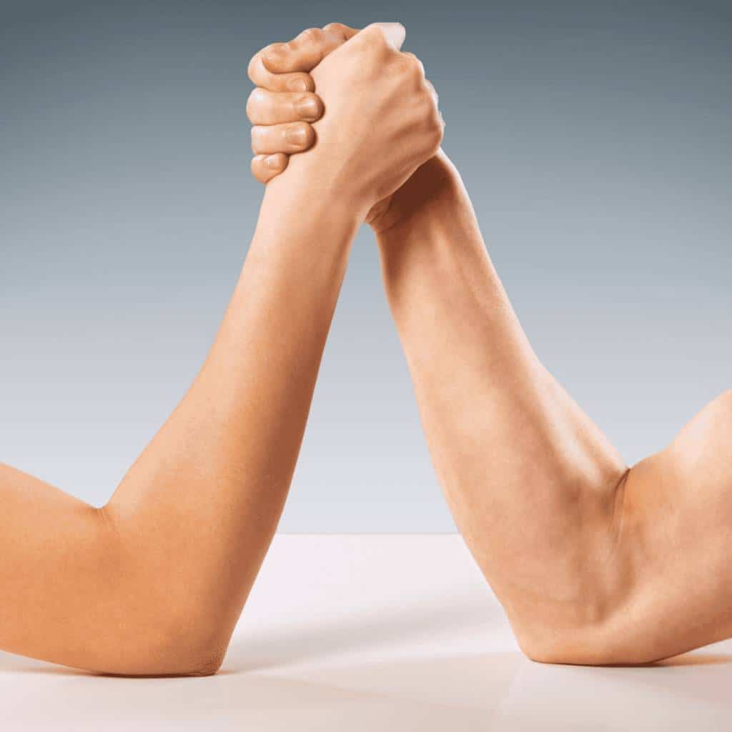 Strength And Unity: How The Muscular And Skeletal Muscle Collaborate ...