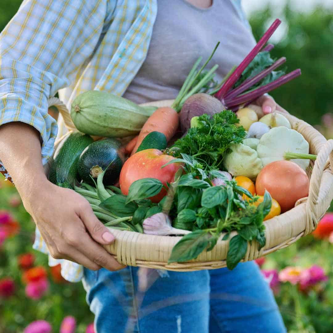 Studies Find Major Crops And Global Diets Are Nutrient Deficient