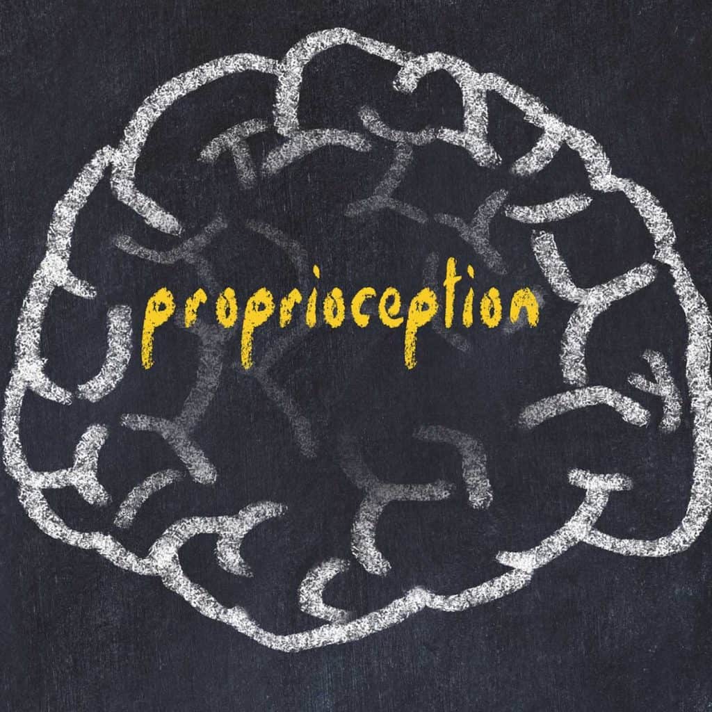 Proprioception And Fall Prevention - Save Our Bones