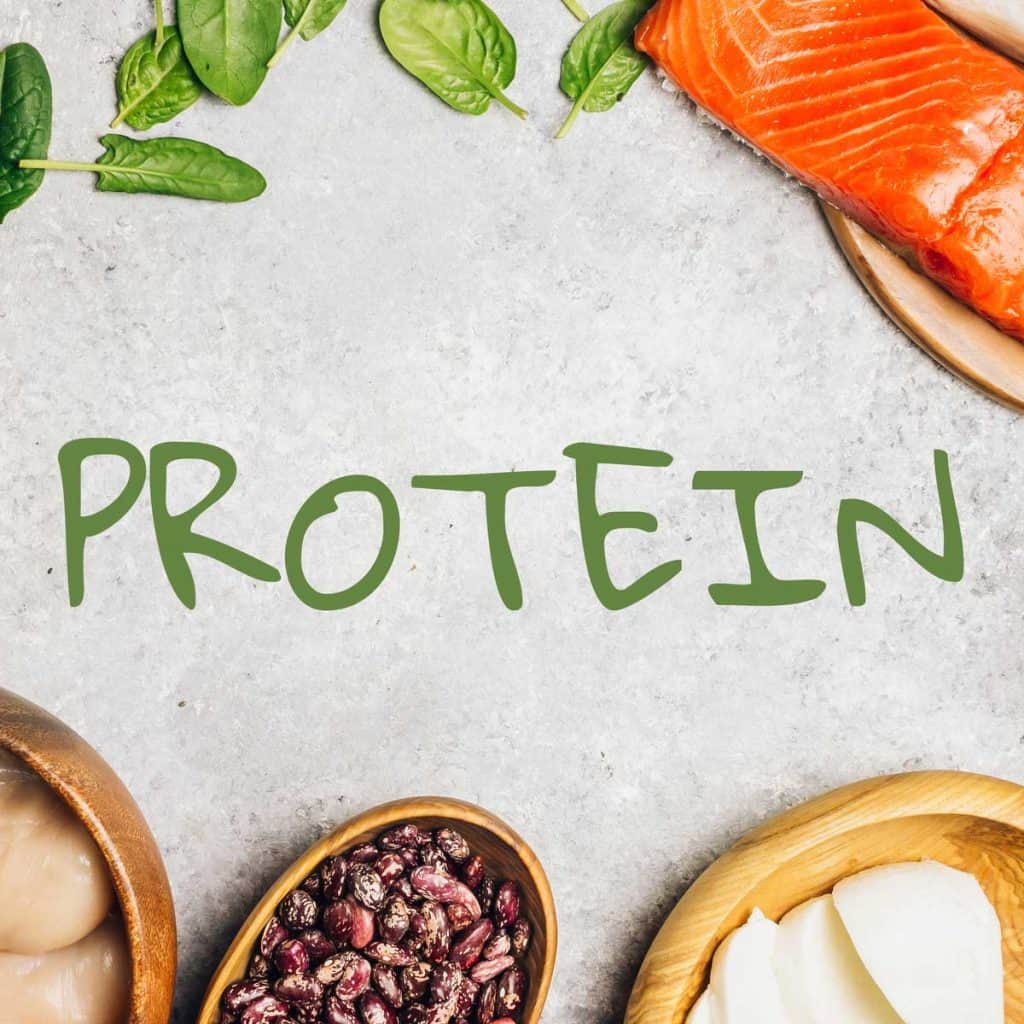 New Study Confirms The Save Institute’s Recommendations On Protein ...