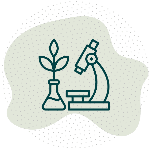 About Save Our Bones And The Save Institute